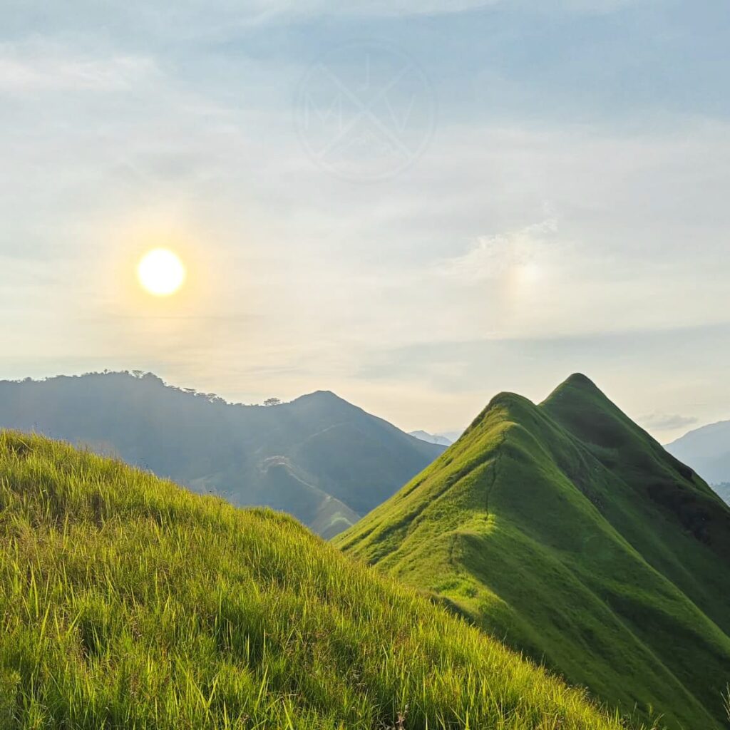 Mt. Kulago: The Hummingbird Mountain